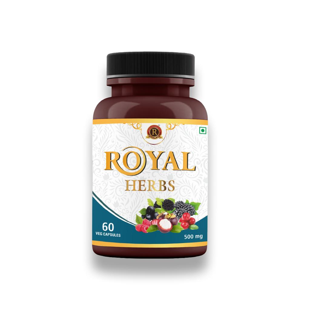 RoyalrexIndia